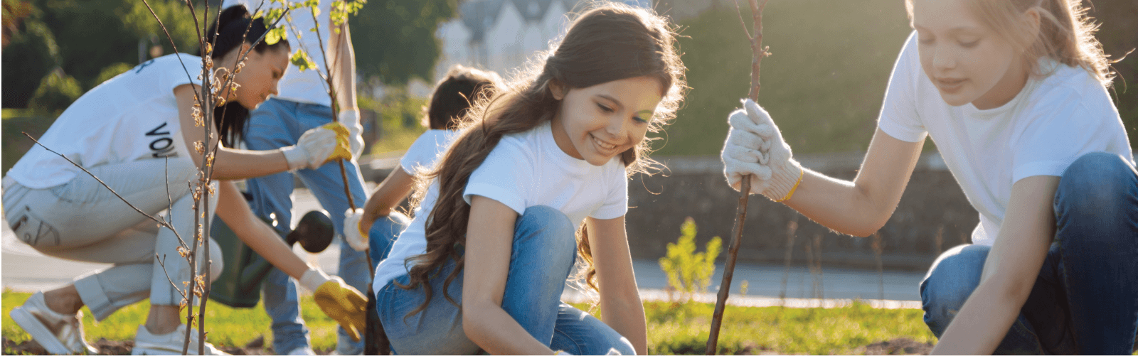 MCCS Summer is the Perfect Time to Volunteer